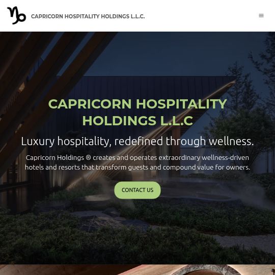 capricorn-holdings.com
