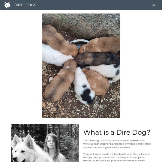 www.diredogs.com